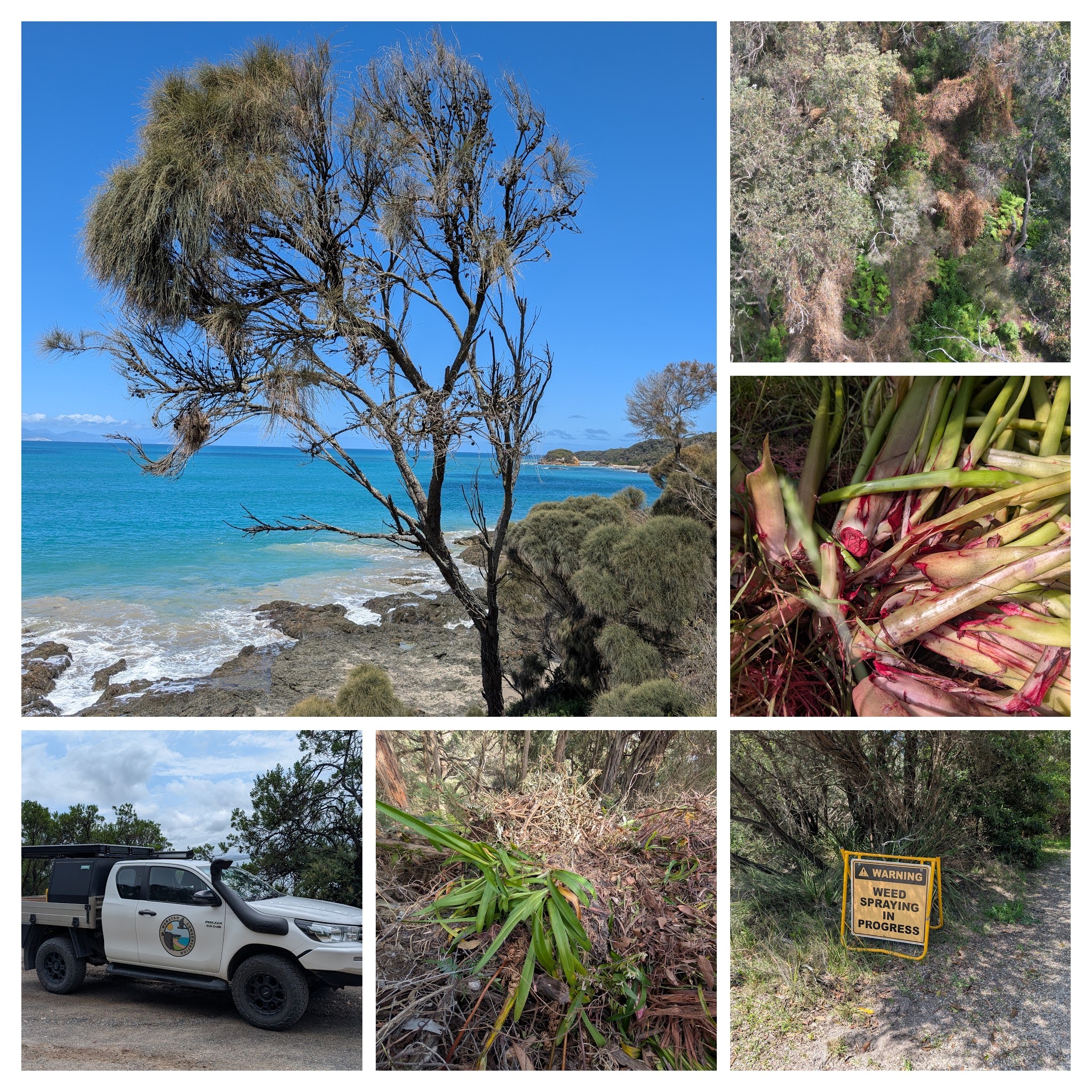 Vegetation Management Update